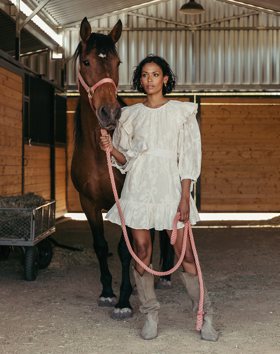 Alana Mini Dress | Multi – Barlow and Browning